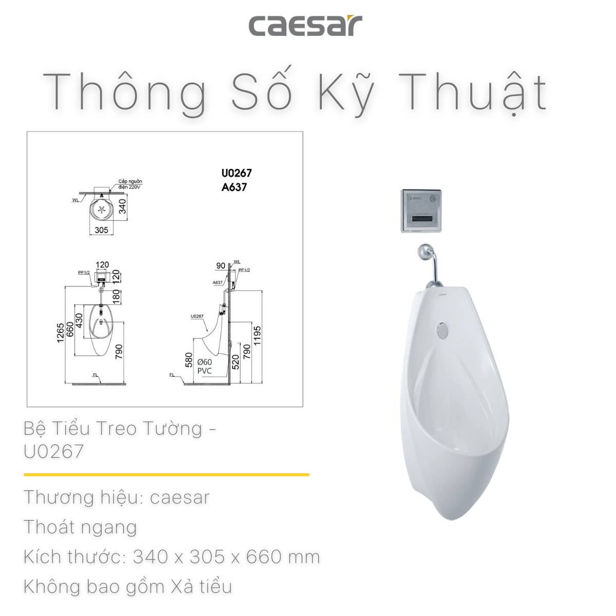tiểu nam Caesar , tieu-nam-caesar, bon-tieu-caeasar, bon-tieu-nam-caesar, thiet-bi-ve-sinh ...